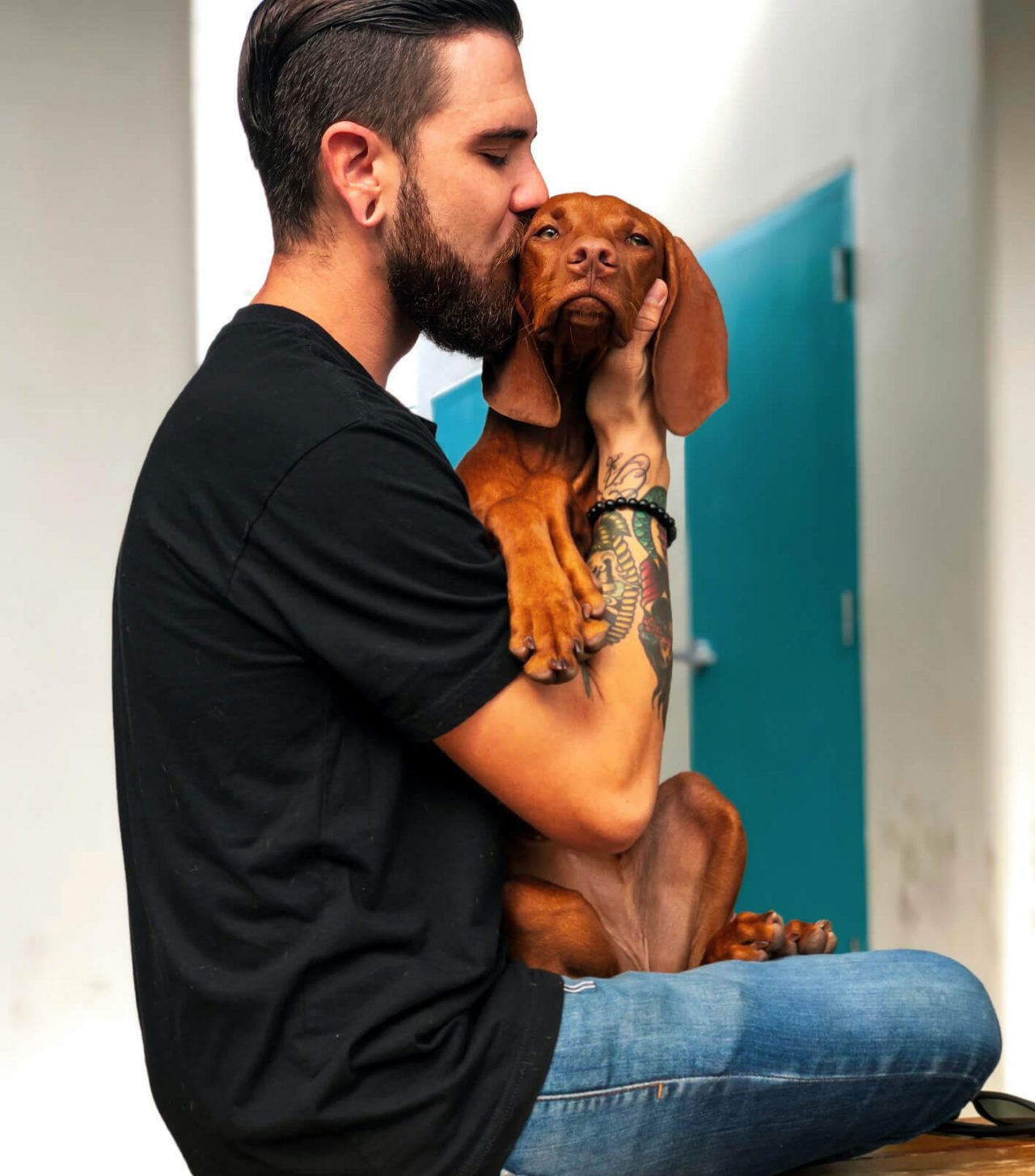 Foster Care Program | Safe Pets Safe Families