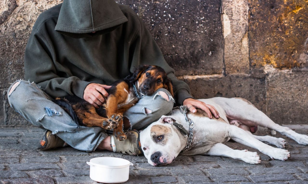 Our Story | Safe Pets Safe Families