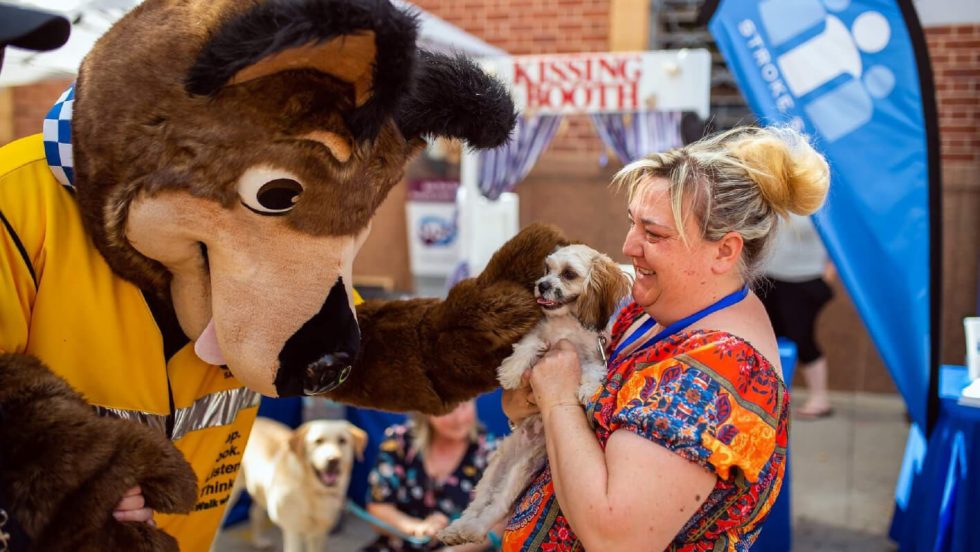 Who We Are | Safe Pets Safe Families